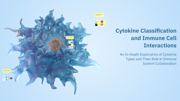 Cytokine Classification and Immune Cell Interactions by Rustam Zokirov ...