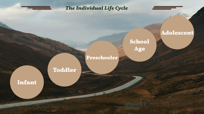 Individual Life Cycle by AMBERLY GROOVER on Prezi