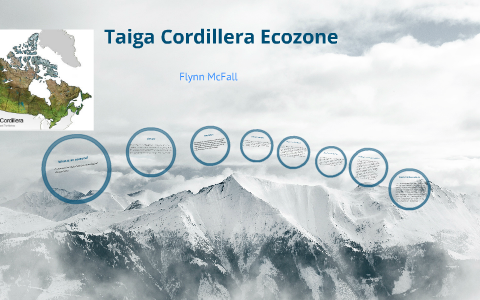 Taiga Cordillera Ecozone by F M on Prezi
