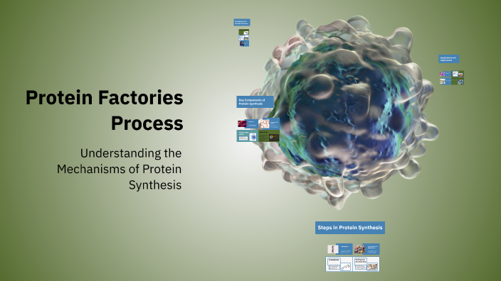 Protein Factories Process by syin troyer on Prezi