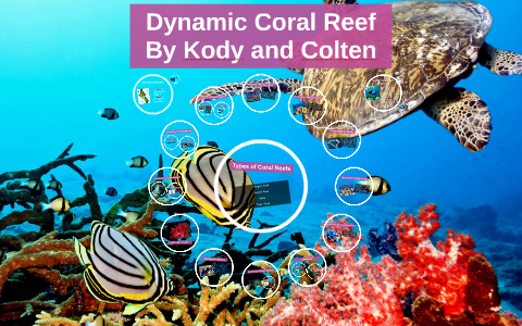 Dynamic Coral Reef by Kody Renne on Prezi