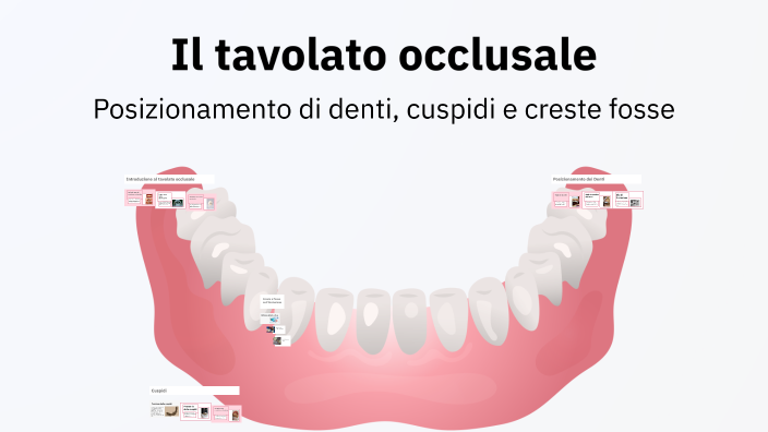 Il tavolato occlusale by Pierpaolo Paniccia on Prezi