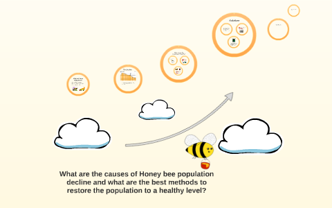 What are the causes of Honey bee population decline? by Mary Cai on Prezi
