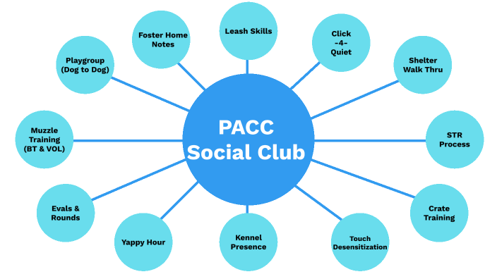 PACC Social Club by Alej Ruiz on Prezi
