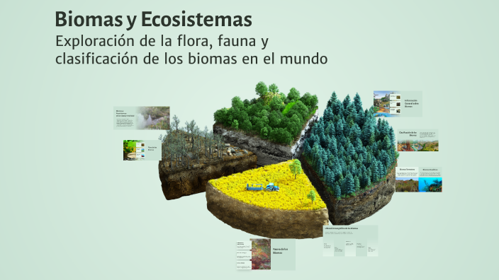 Biomas y Ecosistemas by Jose Nicolas Rodriguez San Juan on Prezi