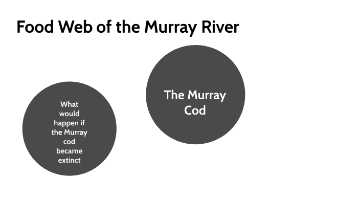 Food Web of the Murray River by ash frid on Prezi