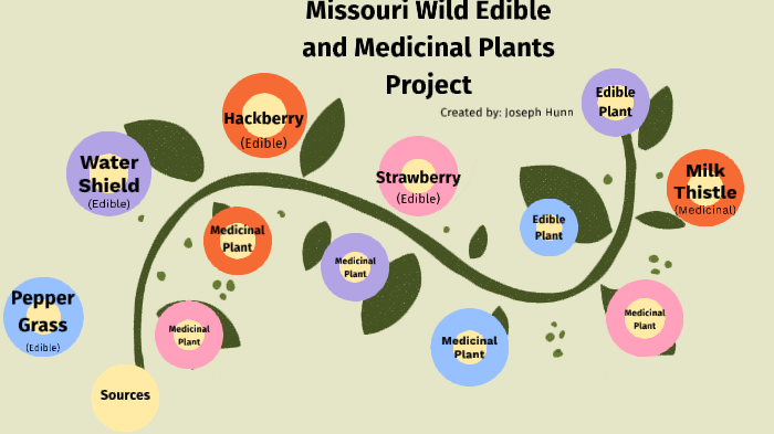 Missouri Wild Edible and Medicinal Plants Project by Joseph Hunn on Prezi