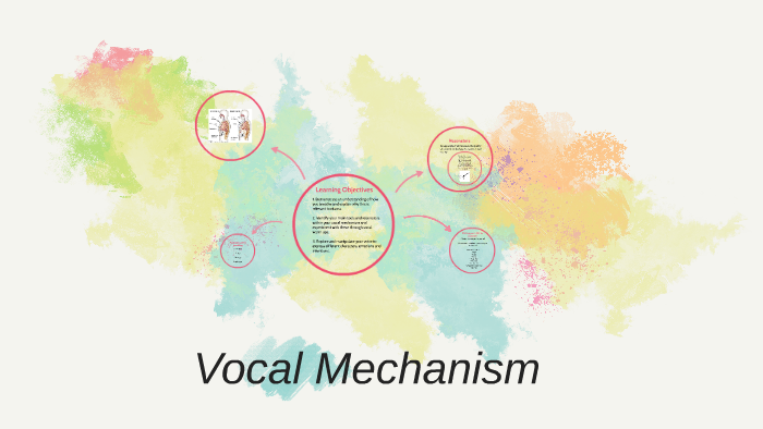 Vocal Mechanism by Sammi Taylor on Prezi