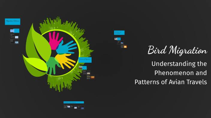 Bird Migration by MEHMET EDİZ SARIHAN on Prezi