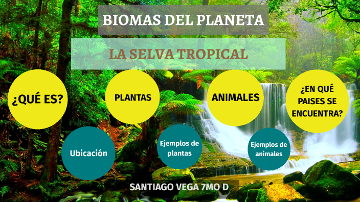 Selva Tropical by Santiago Vega