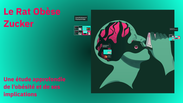 Le Rat Obèse Zucker by Elmourabit Omayma on Prezi