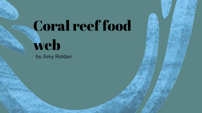 Coral reef food web by Kazuki/Amy Roldan on Prezi