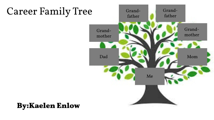 Career Family Tree by Kaelen Enlow on Prezi