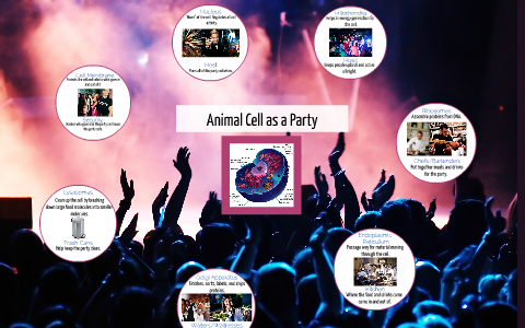 The Animal Cell as a Party by Nohemy Quintero on Prezi