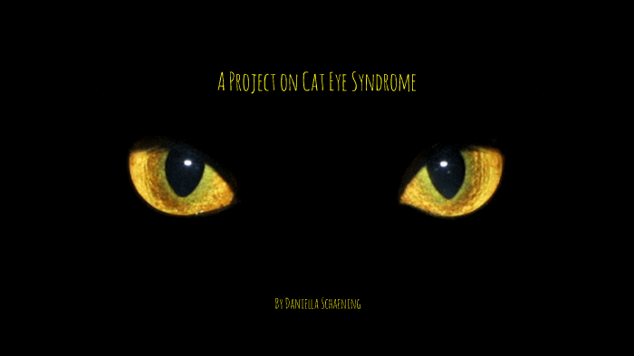 Schmid-Fraccaro Syndrome by Daniella Schaening on Prezi