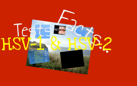 Herpes Project by Alex Pineau on Prezi