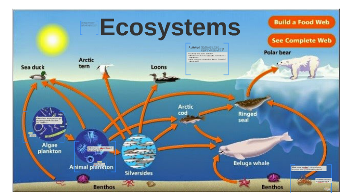 Ecosystems 2 (6th grade) by Cesar Meza on Prezi