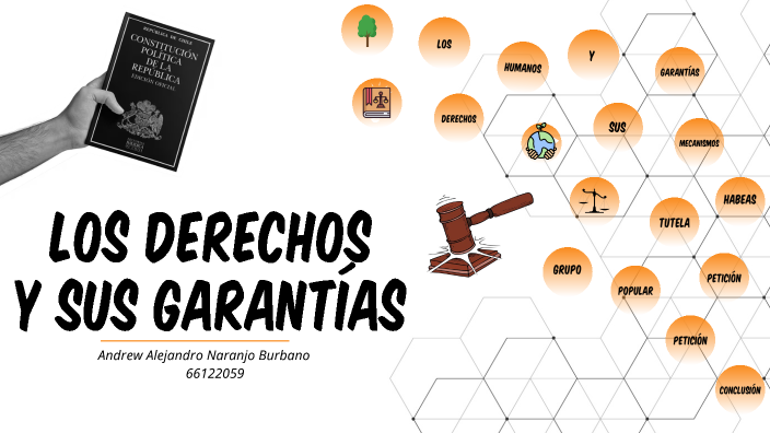 Constitución by Andrew Alejandro Naranjo Burbano on Prezi
