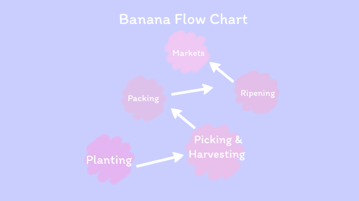 Banana Flow Chart by Eleanor Koh on Prezi