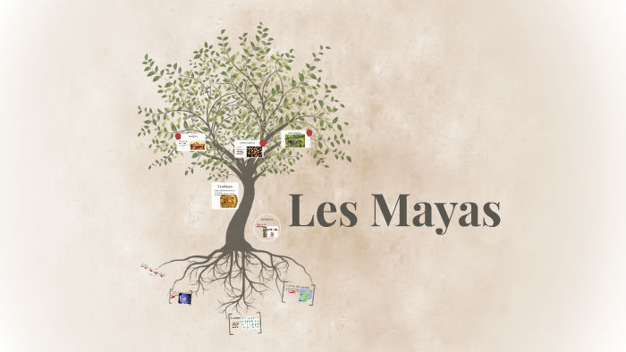 territoire ancestral et réserves moderne by alison velarde on Prezi