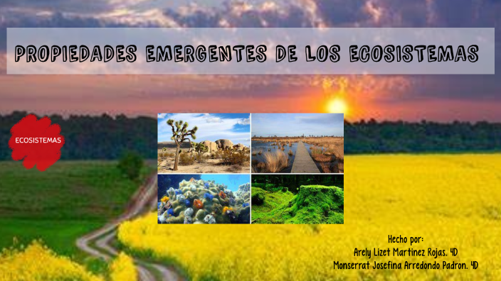 PROPIEDADES EMERGENTES DE LOS ECOSISTEMAS by Monserrat Arredondo on Prezi