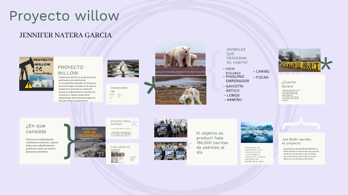 PROYECTO WILLOW by JENNIFER NATERA GARCIA on Prezi