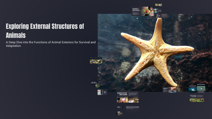 Exploring External Structures of Animals by Mohamed Abd ElSamea on Prezi