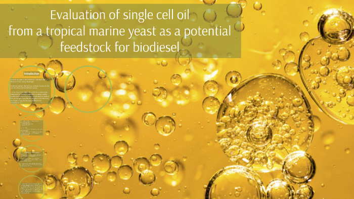 Evaluation of single cell oil by ghaya bisho on Prezi