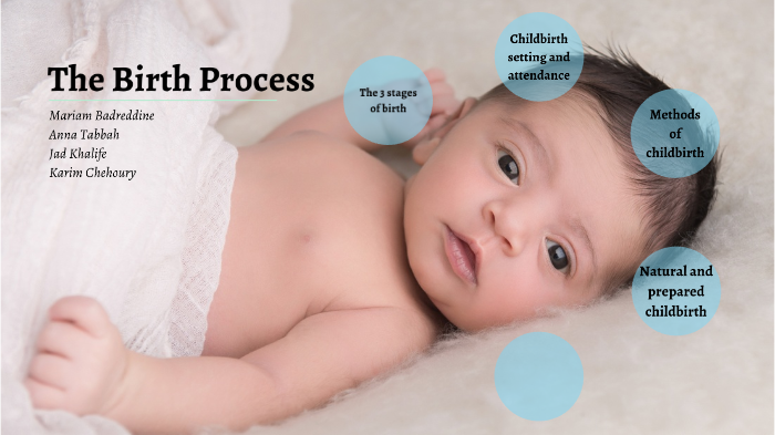 The Birth Process by mariam badreddine on Prezi