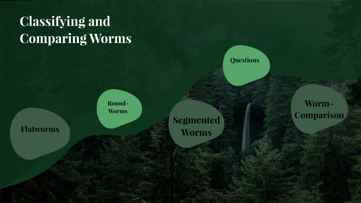 Science Activity: Classifying and Comparing Worms by Roosevelt Anosike ...