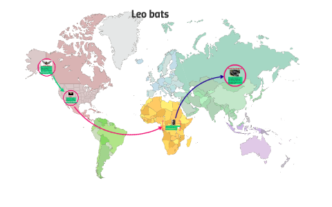 Leo bats by Renee Baity on Prezi