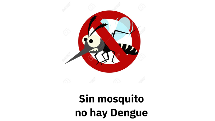 Dengue by Mariana Andrea Caprotti on Prezi