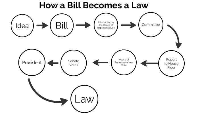 Flowchart of a Bill by Kristine Gabor on Prezi