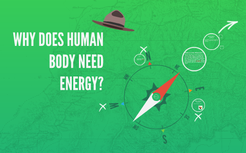 WHY HUMAN BODY NEEDS ENERGY by dylan bernal on Prezi