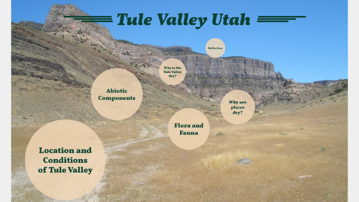 Tule Valley by Zoe BM on Prezi