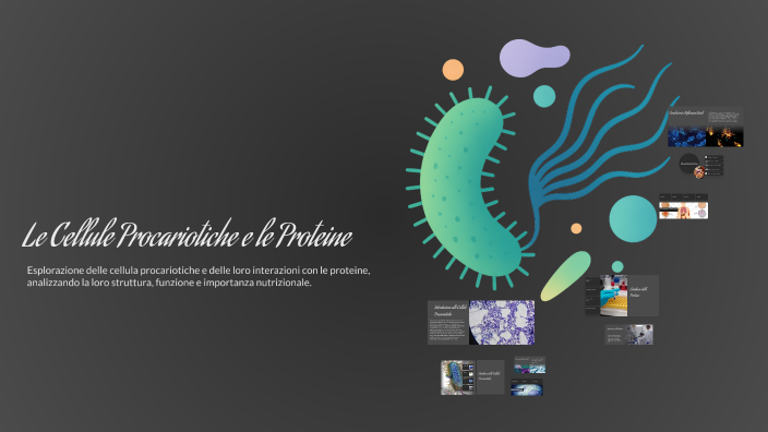 Le Cellule Procariotiche e le Proteine by yndira linares on Prezi
