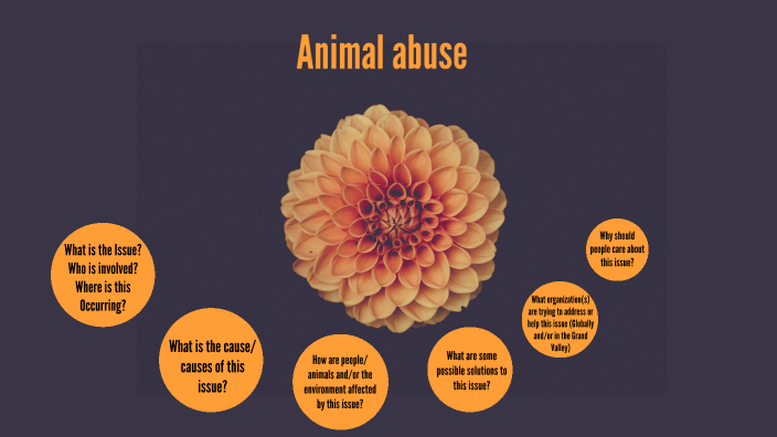 Animal abuse by Jaylean Slade on Prezi