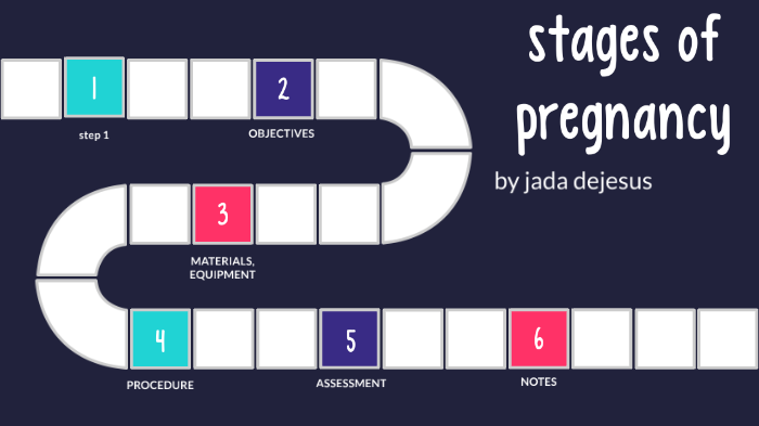 steps to pregnancy by jada dejesus on Prezi