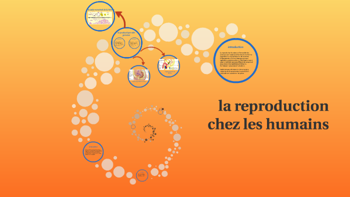 la reproduction chez les humains by Mohammed Taha Elmahmoudi on Prezi