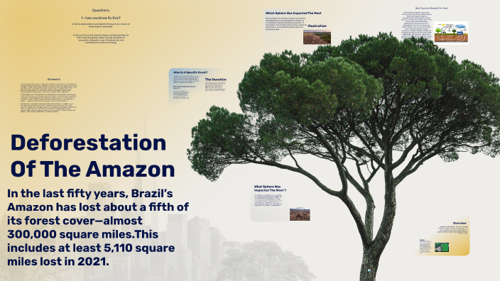 Deforestation of the Amazon by Audri Young on Prezi