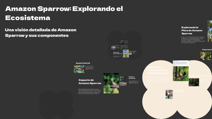 Amazon Sparrow: Explorando el Ecosistema by Josue Leiva on Prezi