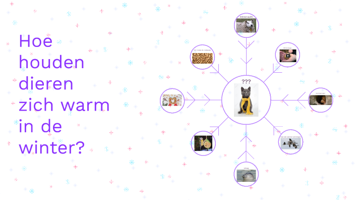 Babette by Xavier de Groot on Prezi