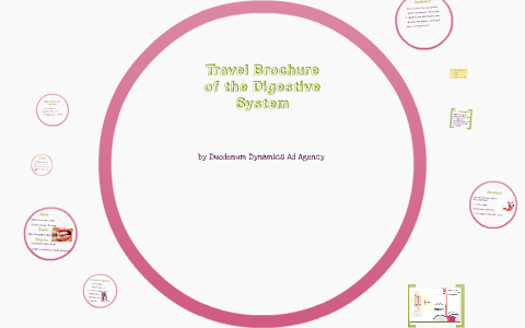 Travel Brochure of the Digestive System by Tina Nguyễn on Prezi