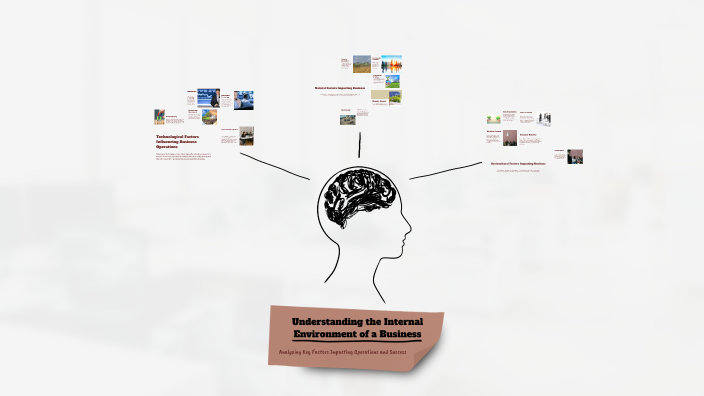 Understanding the Internal Environment of a Business by Samir Choudhry ...