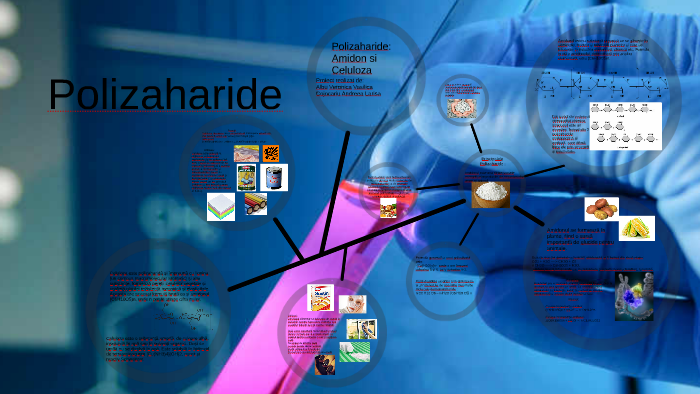 Polizaharide by Lacramioara Cojocariu on Prezi