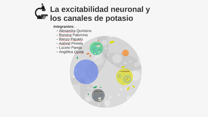 La excitabilidad neuronal y los canales de potasio by Lucero Pareja ...