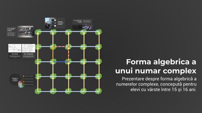 Forma algebrica a unui numar complex by Madalina Samoila on Prezi