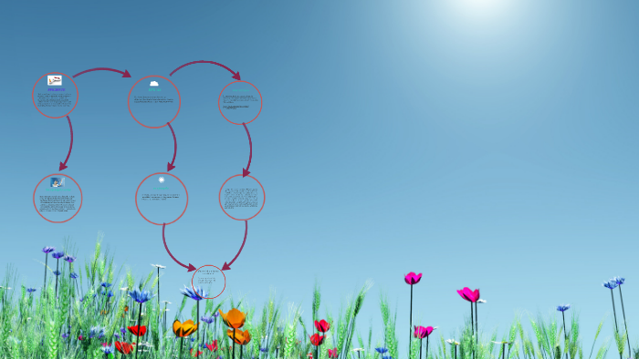 EFICIENTE by marcela corzo