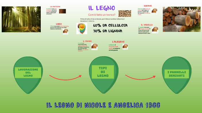 IL LEGNO NICOLE E ANGELICA by Angelica Lentani on Prezi