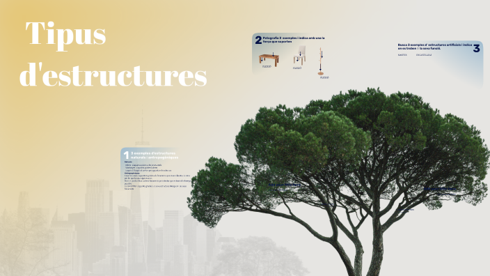 Tipus d'estructures by Diana Lucía Vingarzan on Prezi